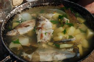 Fish and Potato Stew Recipe | Rustle Up